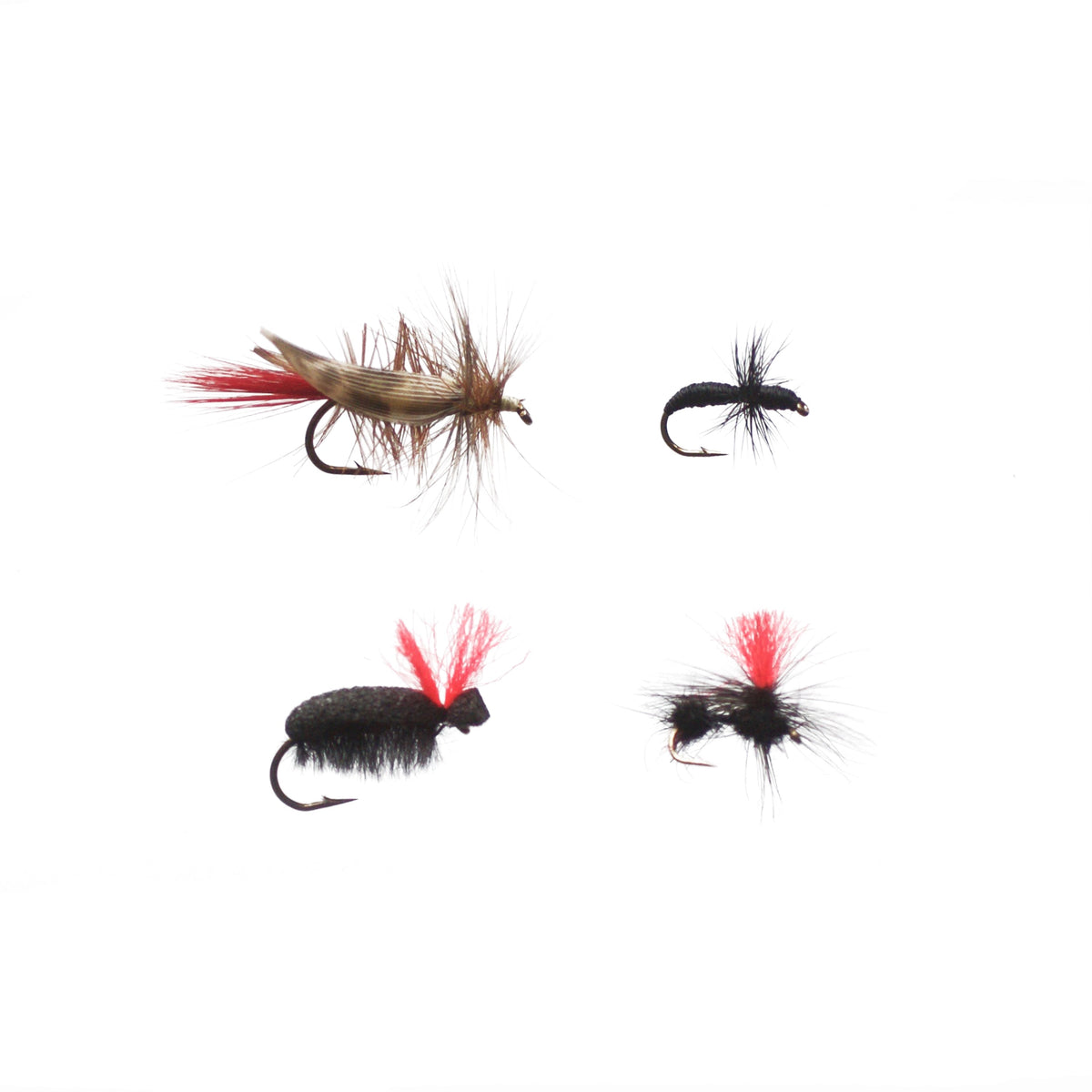 Terrestrial Assortment – Fish 'N Stuff