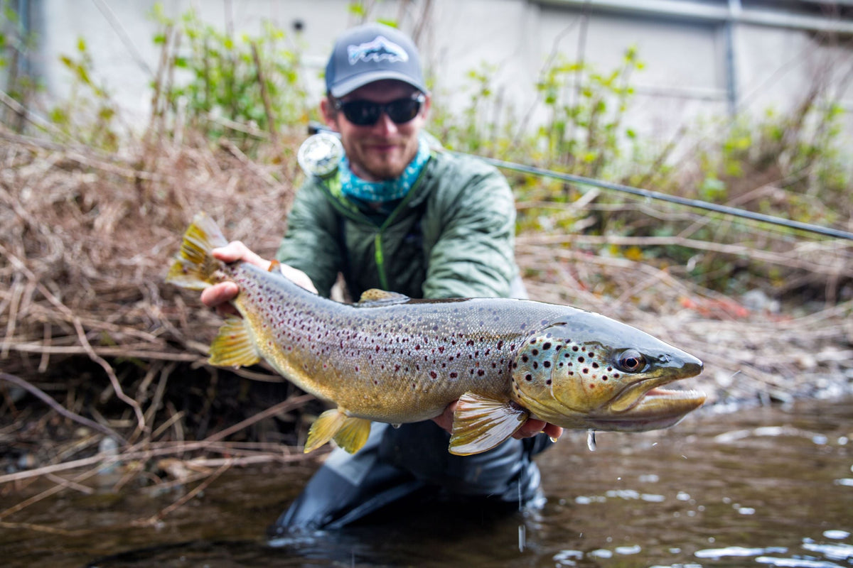 Competition MKII Series Fly Rod - Euro Style Nymphing – Fish 'N Stuff