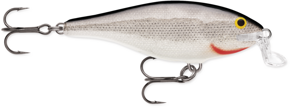 Rapala- Shallow Shad Rap Series – Fish 'N Stuff