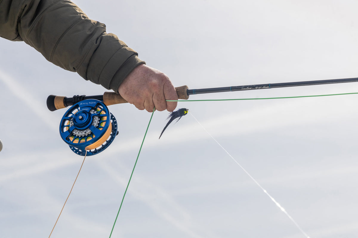 50+ Cannon – Fish 'N Stuff