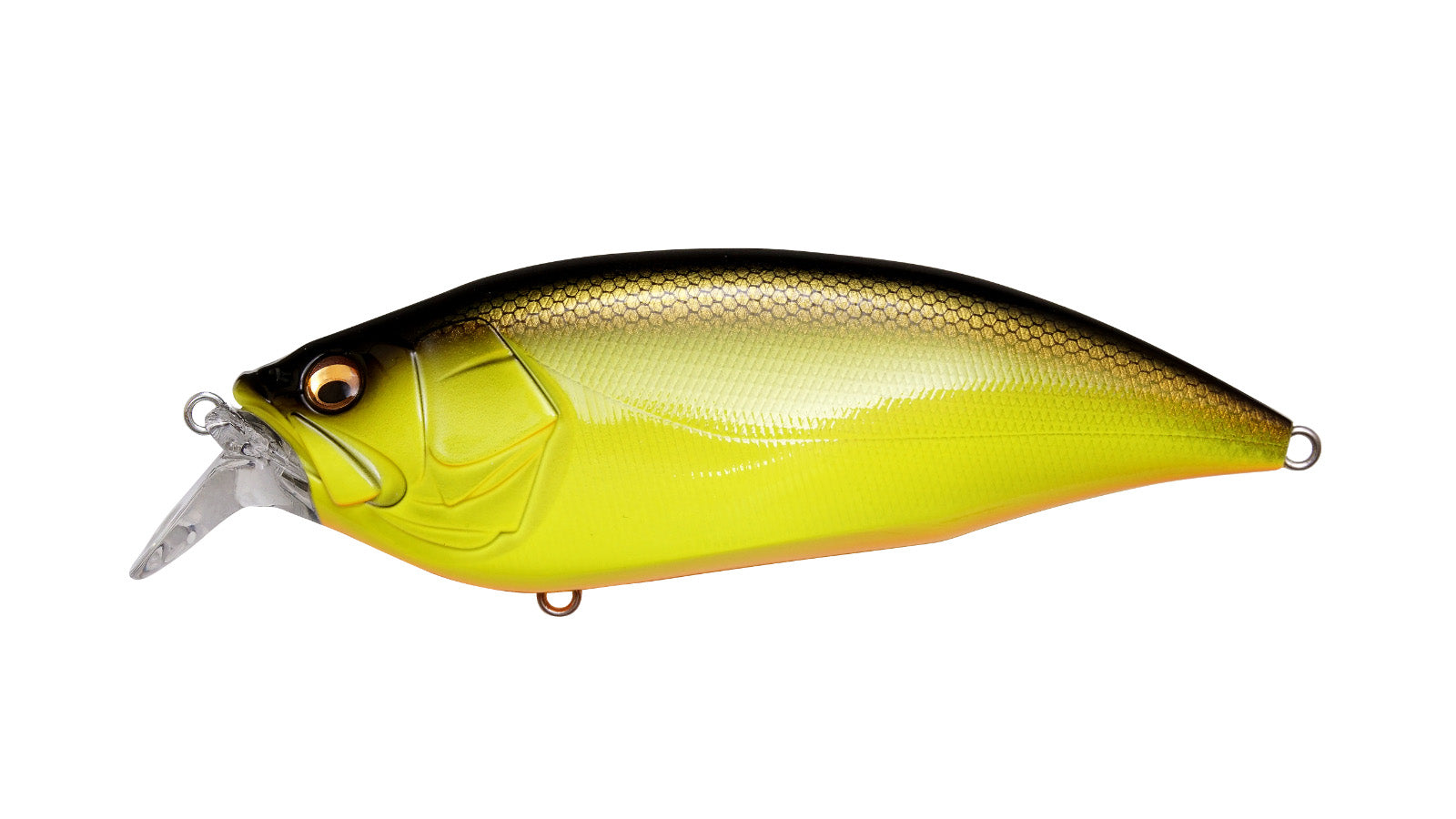 Fish 'N Stuff