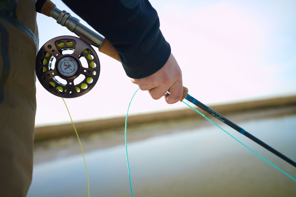 All Purpose XP – Fish 'N Stuff