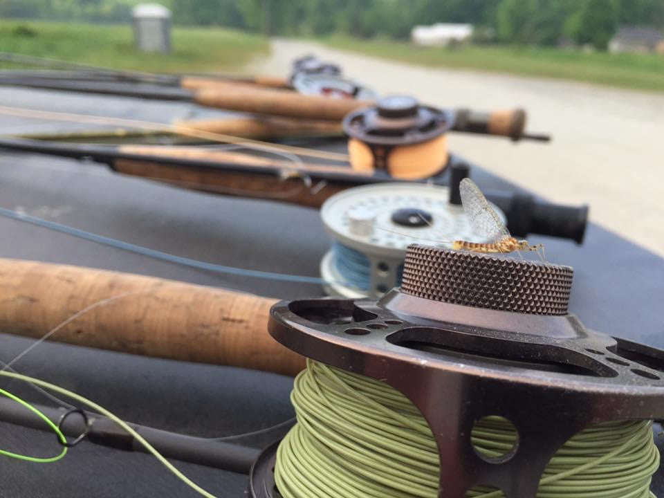 Modern Trout Moss Green – Fish 'N Stuff