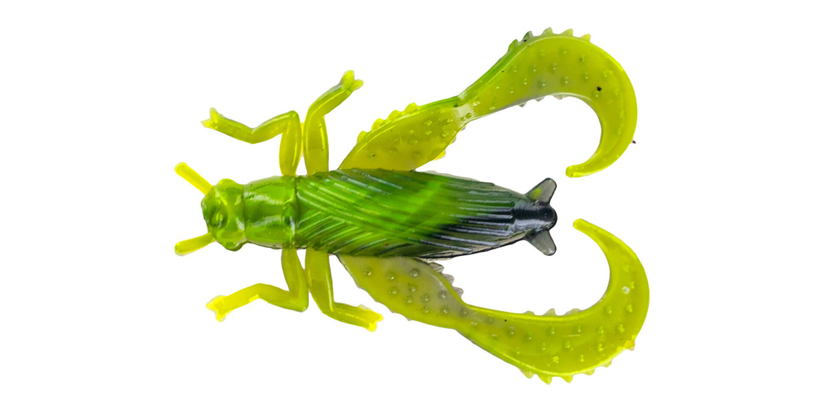 Big Bite Baits Cricket – Fish 'N Stuff